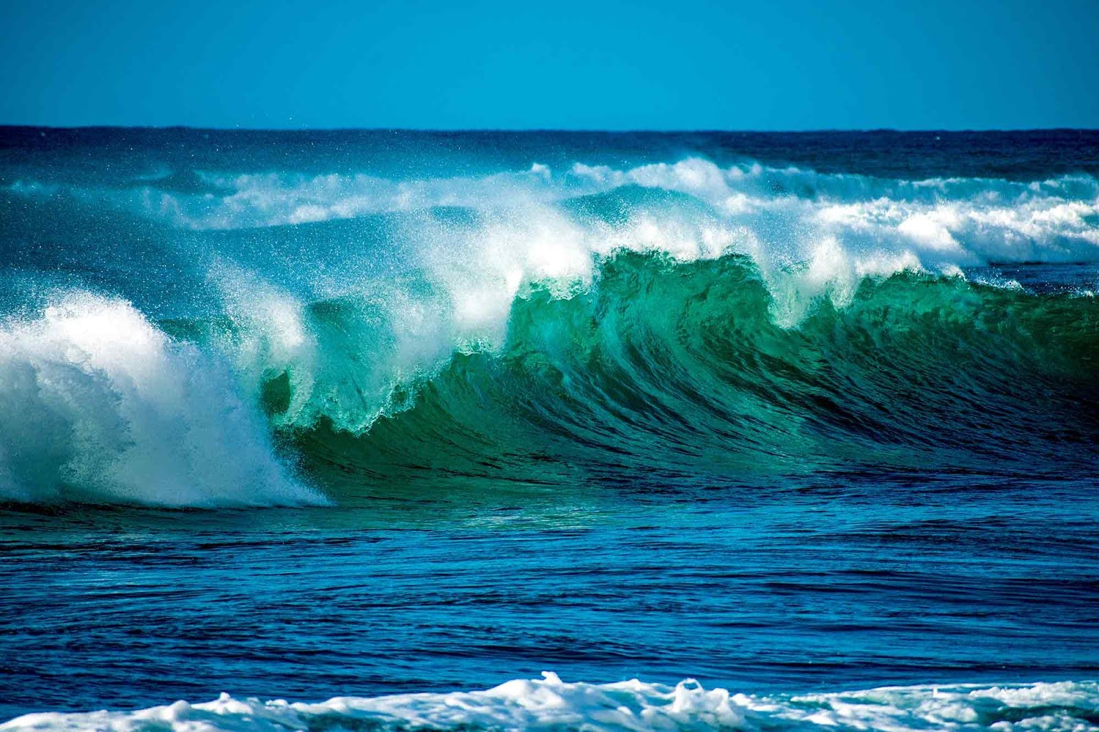 How to transform 30×30 from a political slogan into an ecological reality