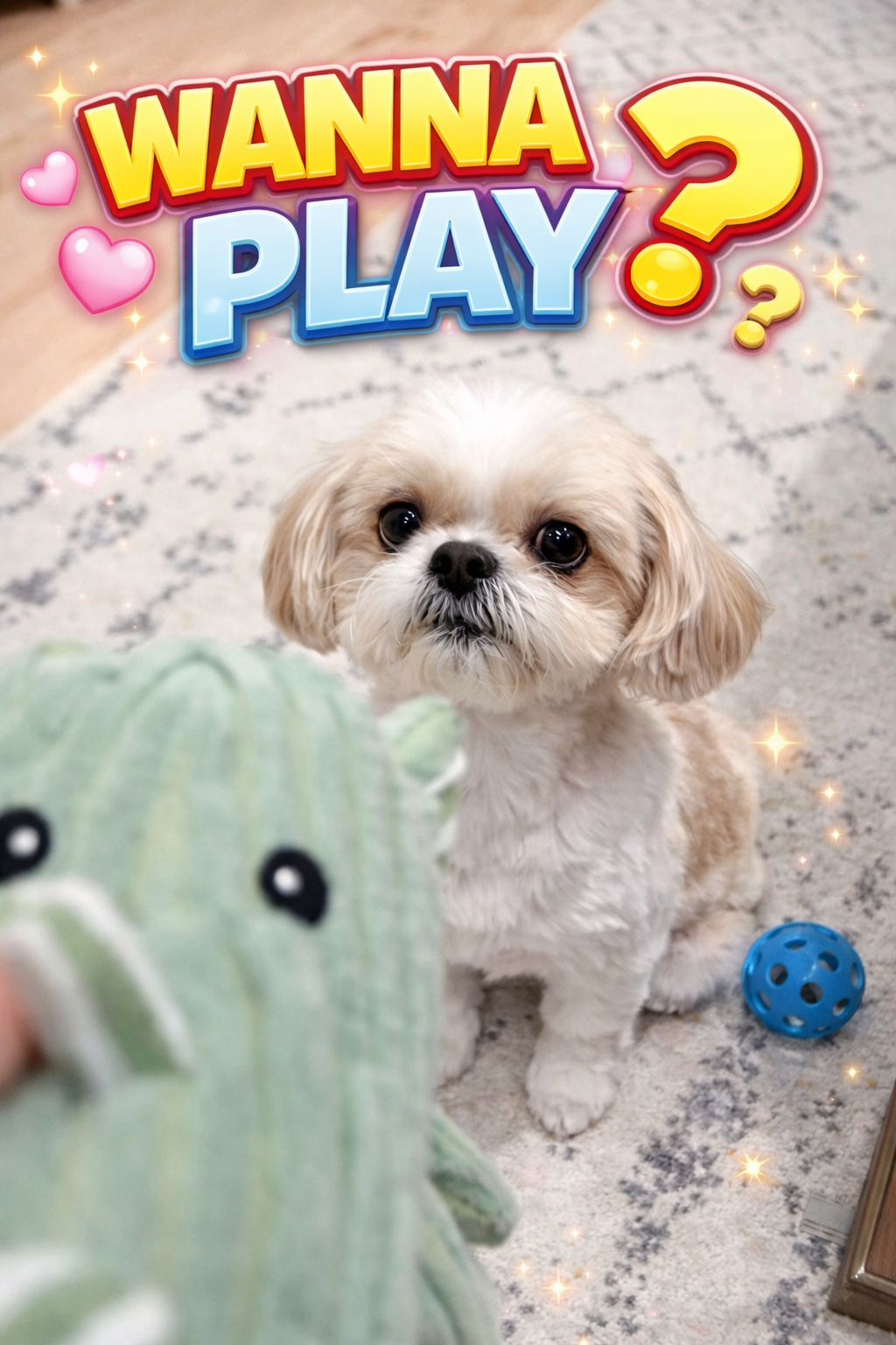 One cute dog, one very funny life