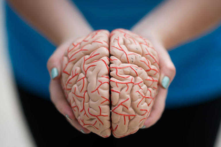 La neurocientífica Lisa Mosconi: "Hay 5 alimentos perversos que ...