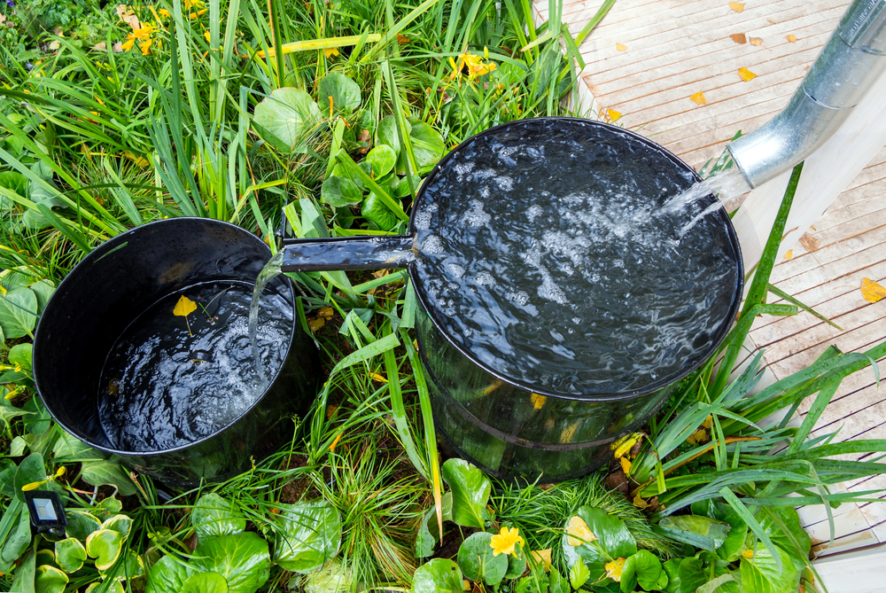 Rainwater harvesting tips for under $100