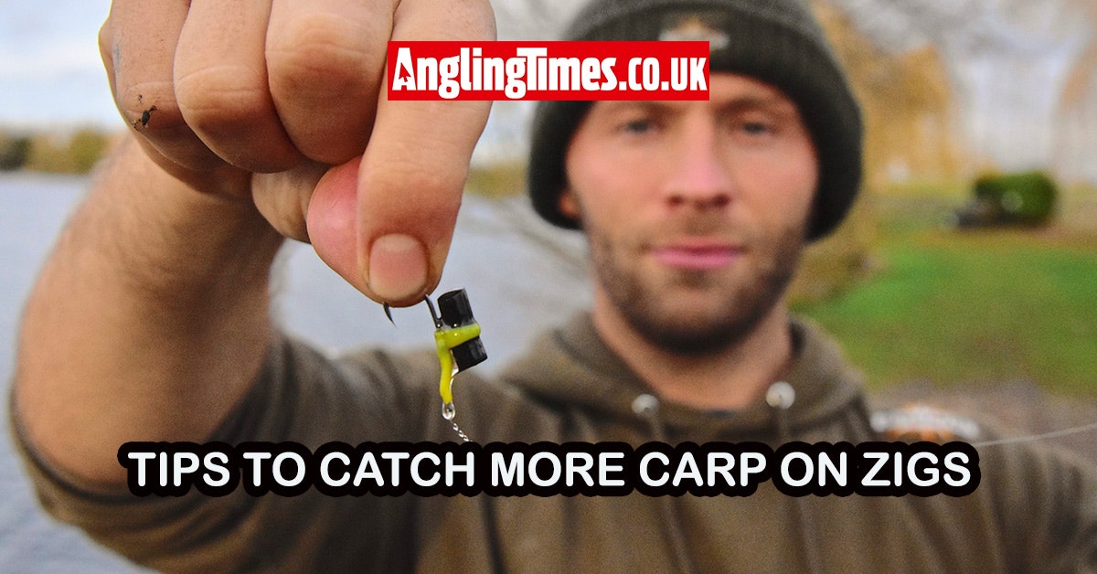The do’s and don’ts of zig fishing for carp