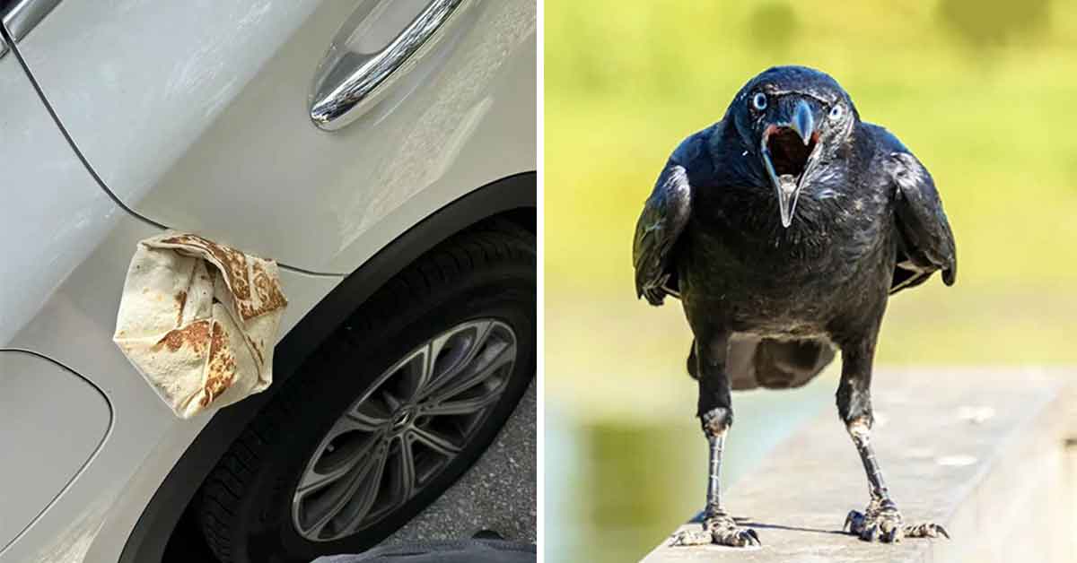 Random pics that might be funny enough that you laugh