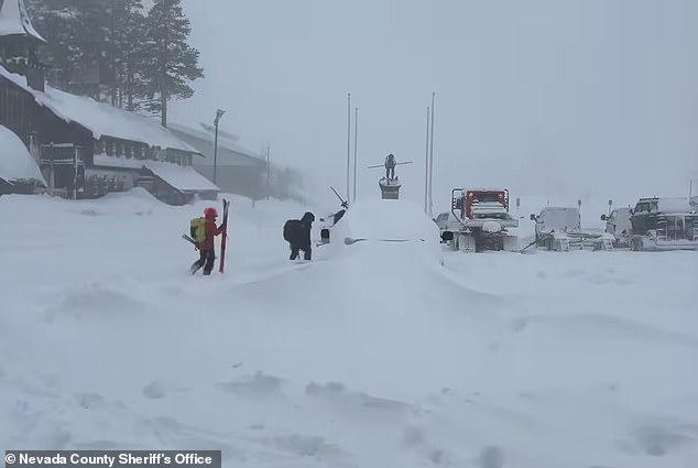 Victims of tragic California avalanche were group of moms from elite ...