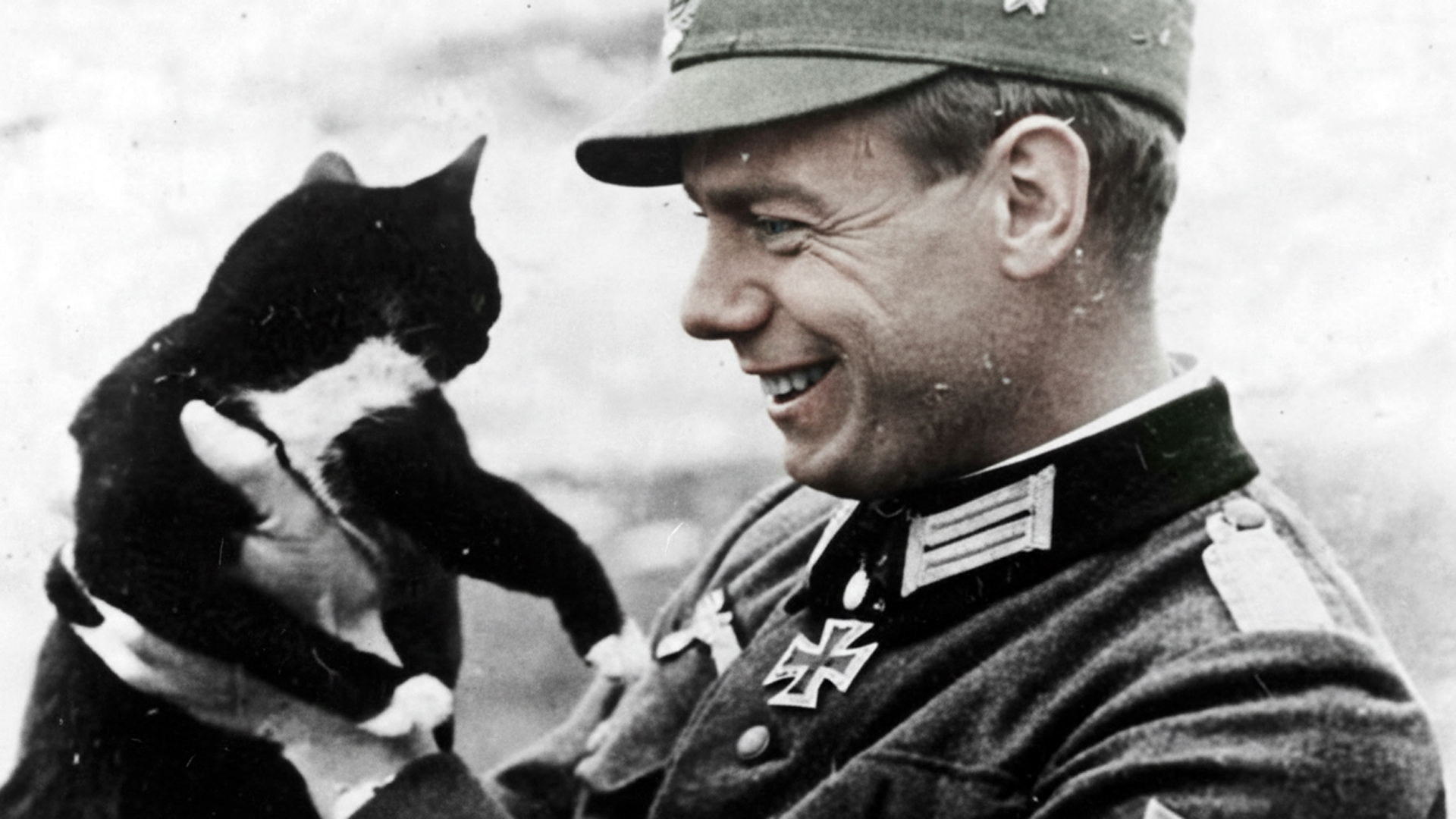 The WW2 ship’s cat that survived three sinkings