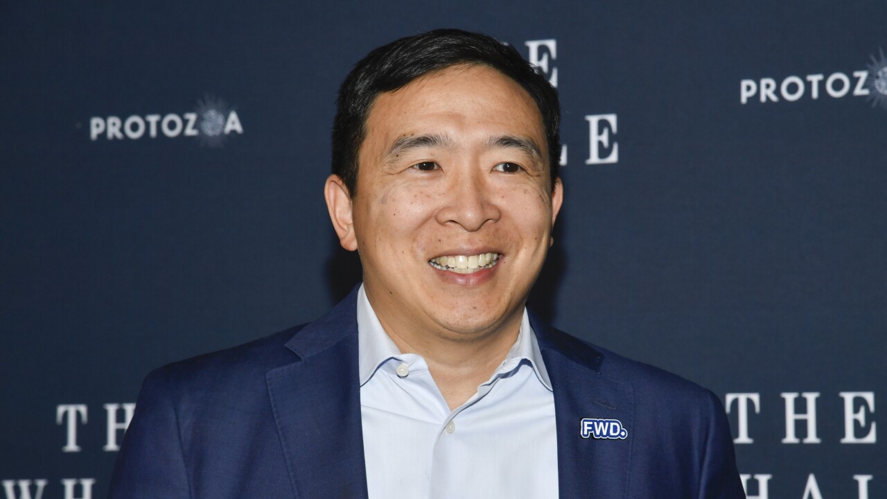 Andrew Yang predicts AI could eliminate half of white-collar jobs