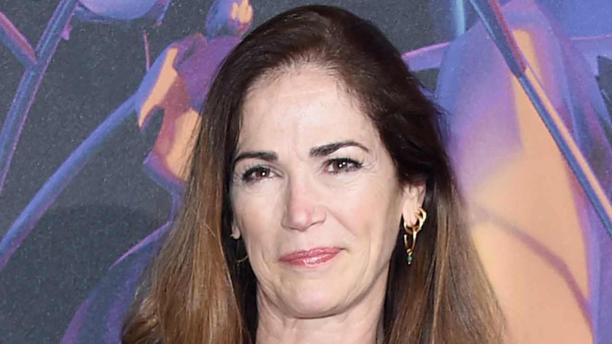 Kim Delaney explains why she fled 2022 crash scene amid safety concerns