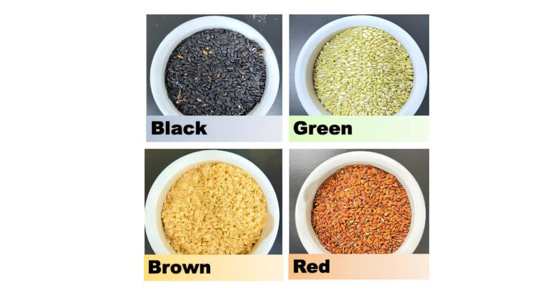 Colorful japonica rice shows unique lipids and slower digestion than ...