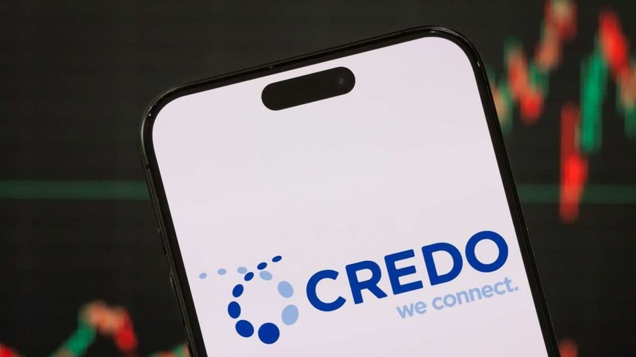 Goldman Sachs bets big on Credo Technology, highlights high-speed ...