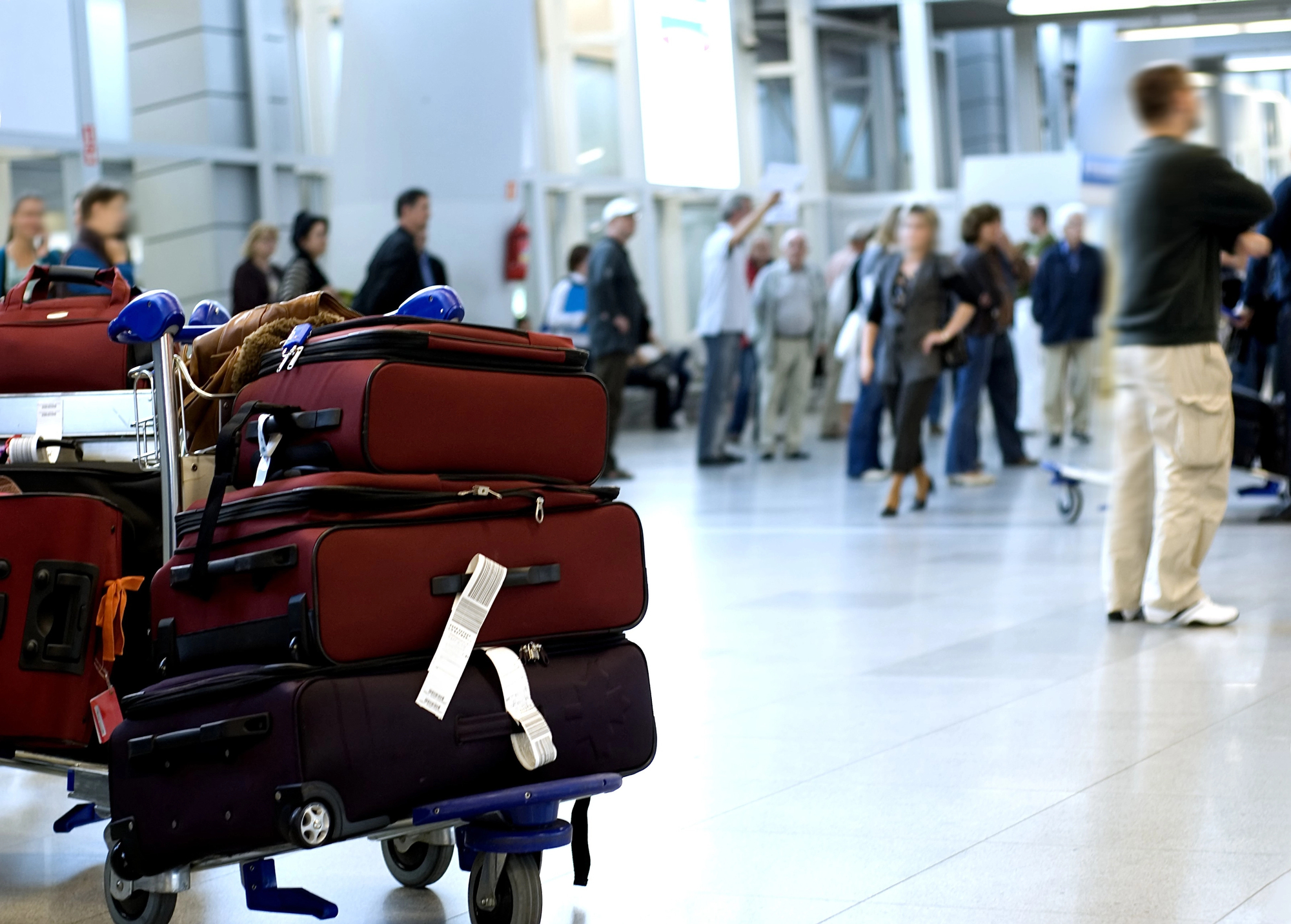 Unbelievably crazy things found in TSA bins