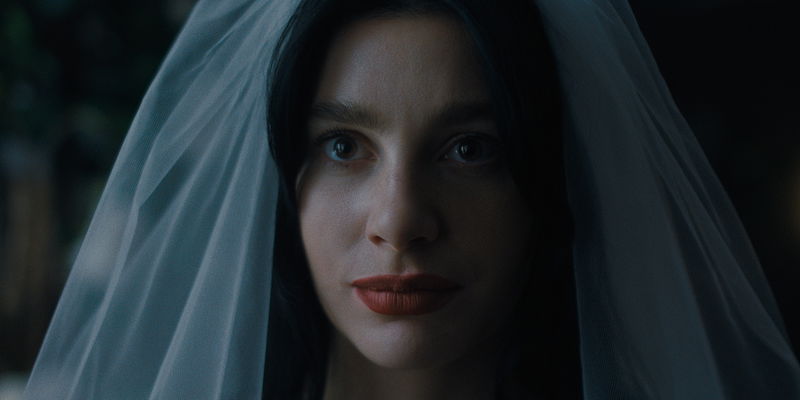 Netflix-abonnees kijken reikhalzend uit naar nieuwe horrorserie: 'Dit ...