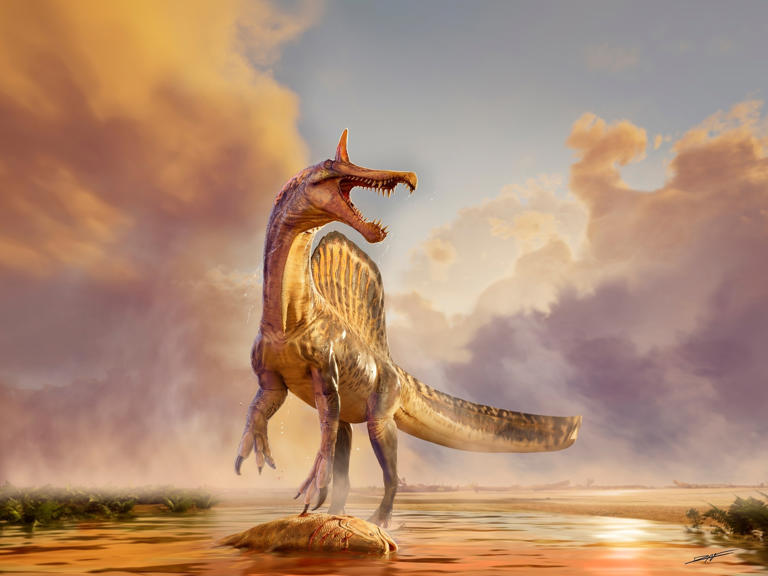 Scientists discover new dinosaur species deep in the Sahara Desert