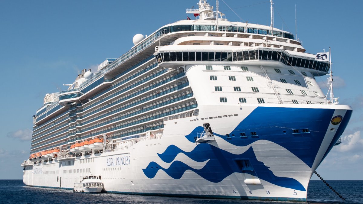 Princess Cruises sets world record with cruise margaritas