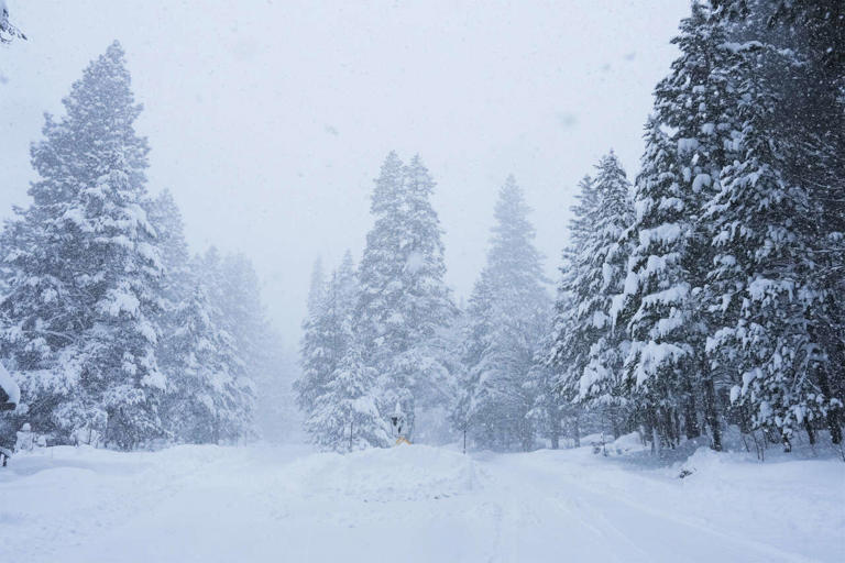 Founder of backcountry tour company speaks out on deadly Tahoe avalanche