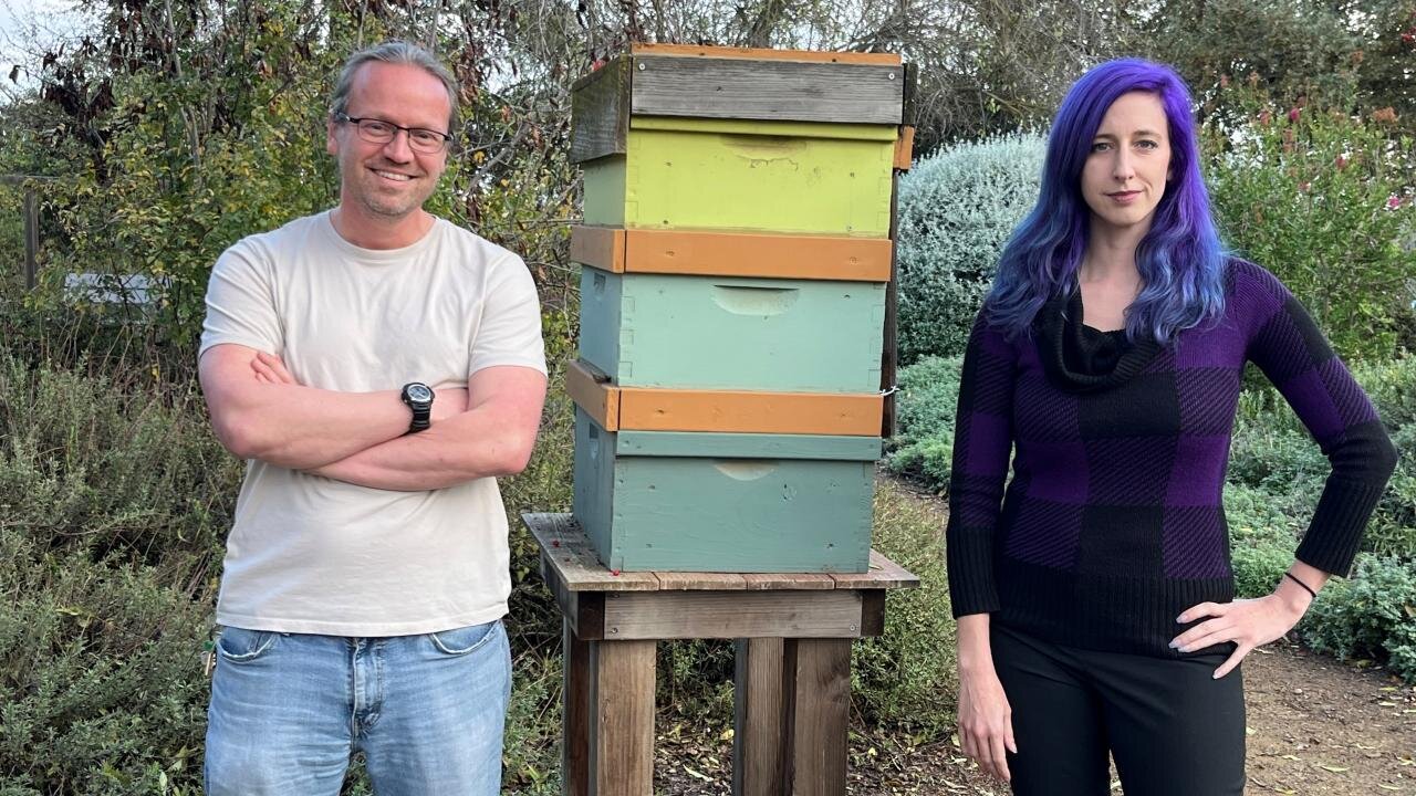 Helping beekeepers fight mites through more effective treatments