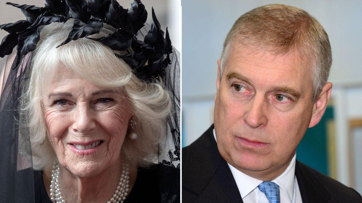 Queen Camilla dodges question about ex-Prince Andrew's arrest hours ...