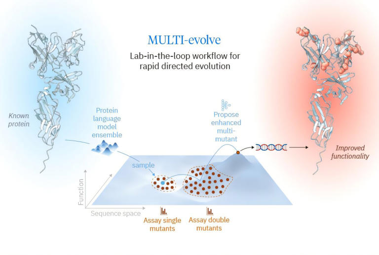 Lab-in-the-loop framework enables rapid evolution of complex multi ...