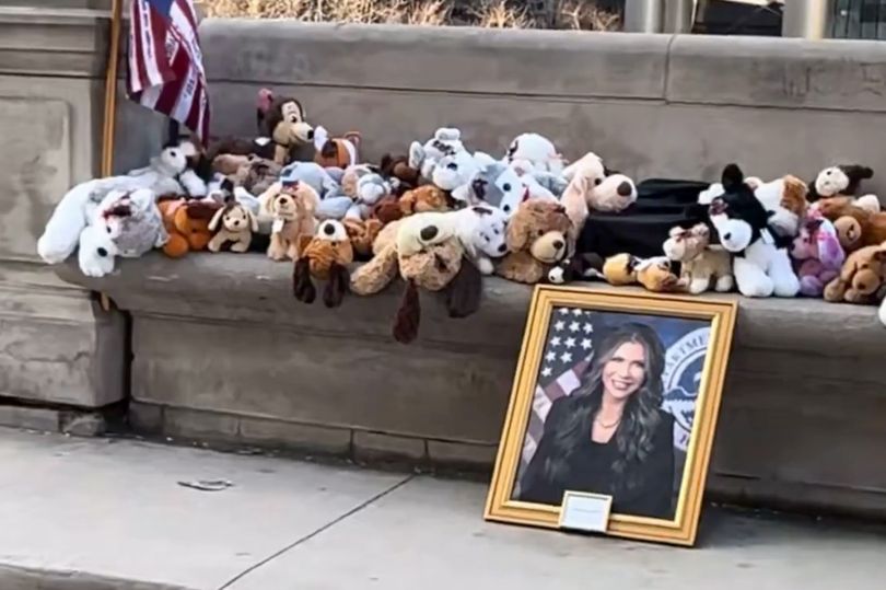 Kristi Noem haunted by dead dog she killed with memorial of bloodied ...