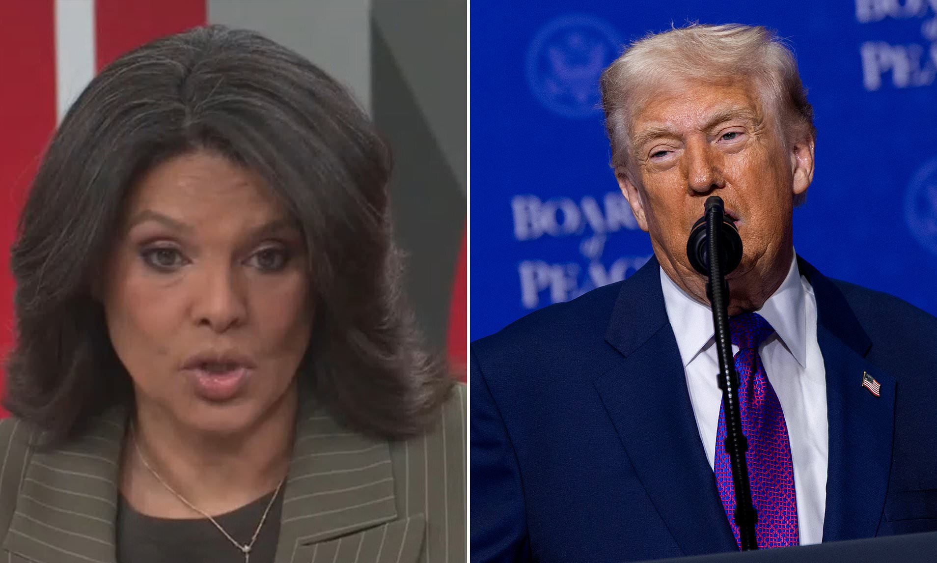 CNN host caught in hot-mic anti-Trump slip up as her colleagues rush to ...