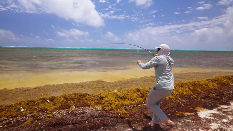 The fish that becomes an obsession for fly anglers