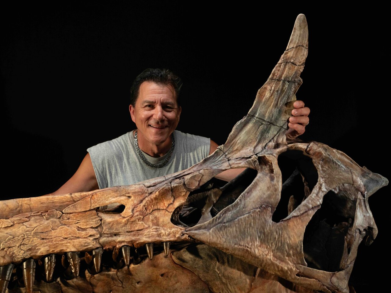 New 'scimitar-crested' Spinosaurus species discovered in the central Sahara