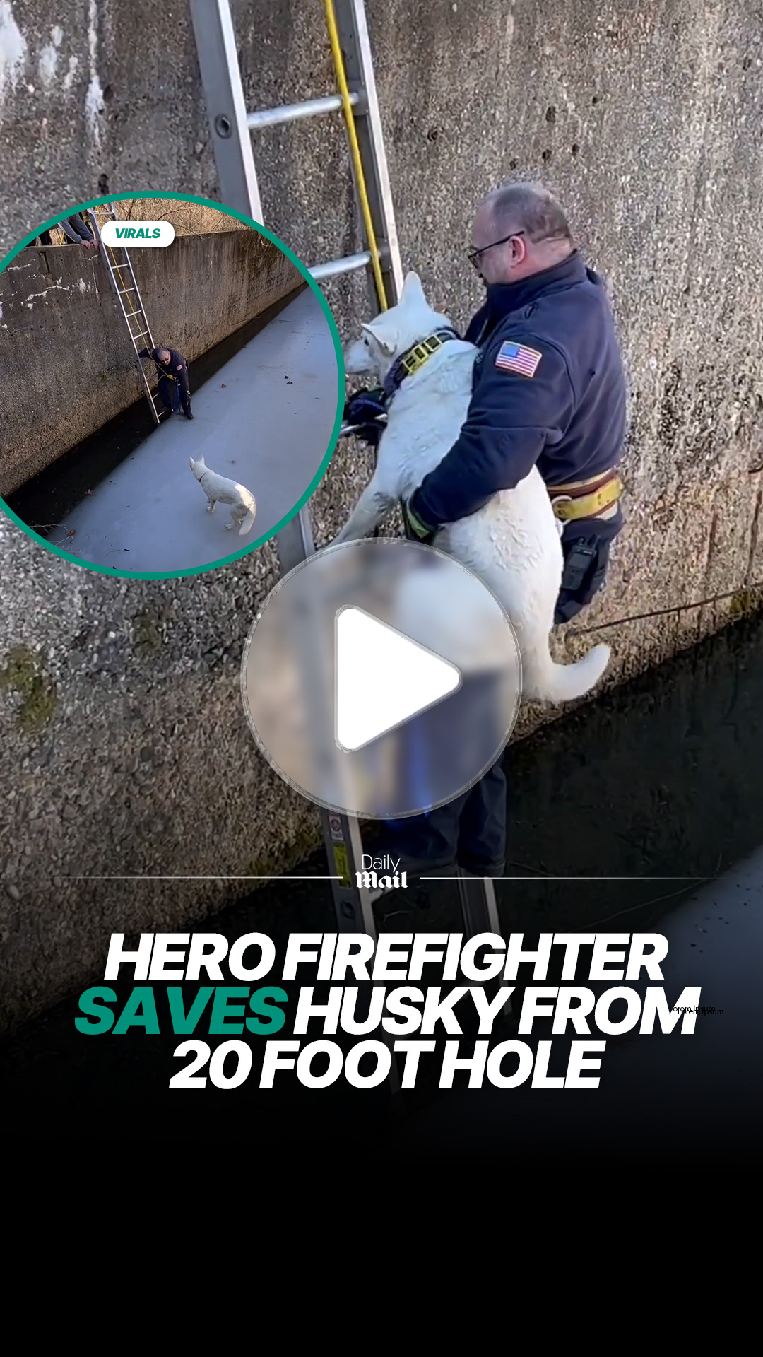 Firefighter rescues husky trapped in 20 foot icy hole