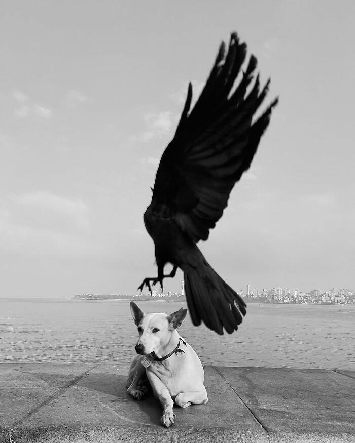34 fascinating photos that prove timing is everything