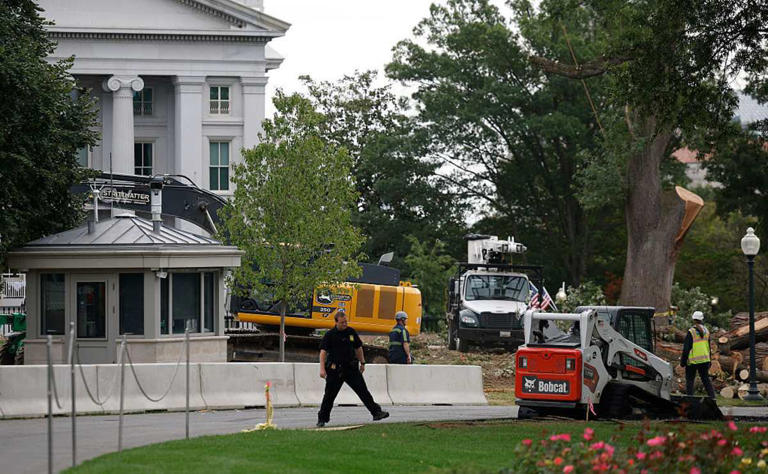 Trump pressures GOP to remove Elizabeth MacDonough after her $1B WH ...