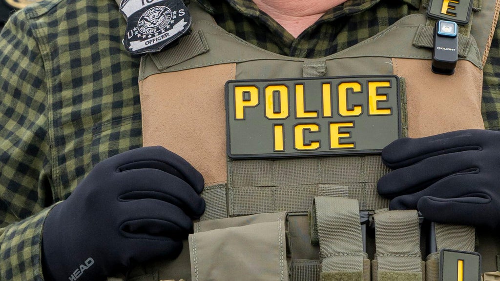 California, Santa Clara County file motion to halt construction of ICE ...