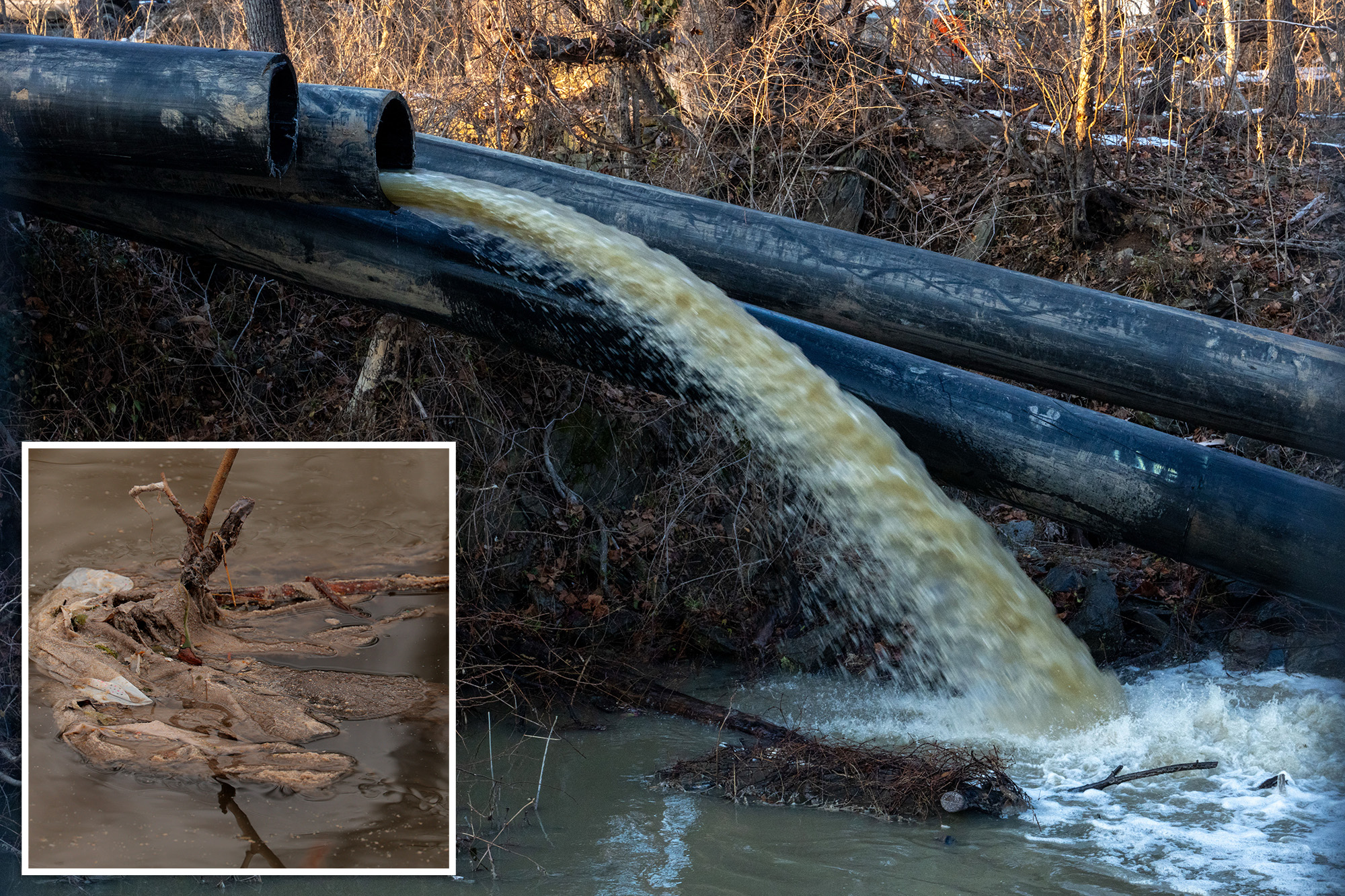 Poo-tomac! Residents of wealthy DC suburb say living near collapsed ...