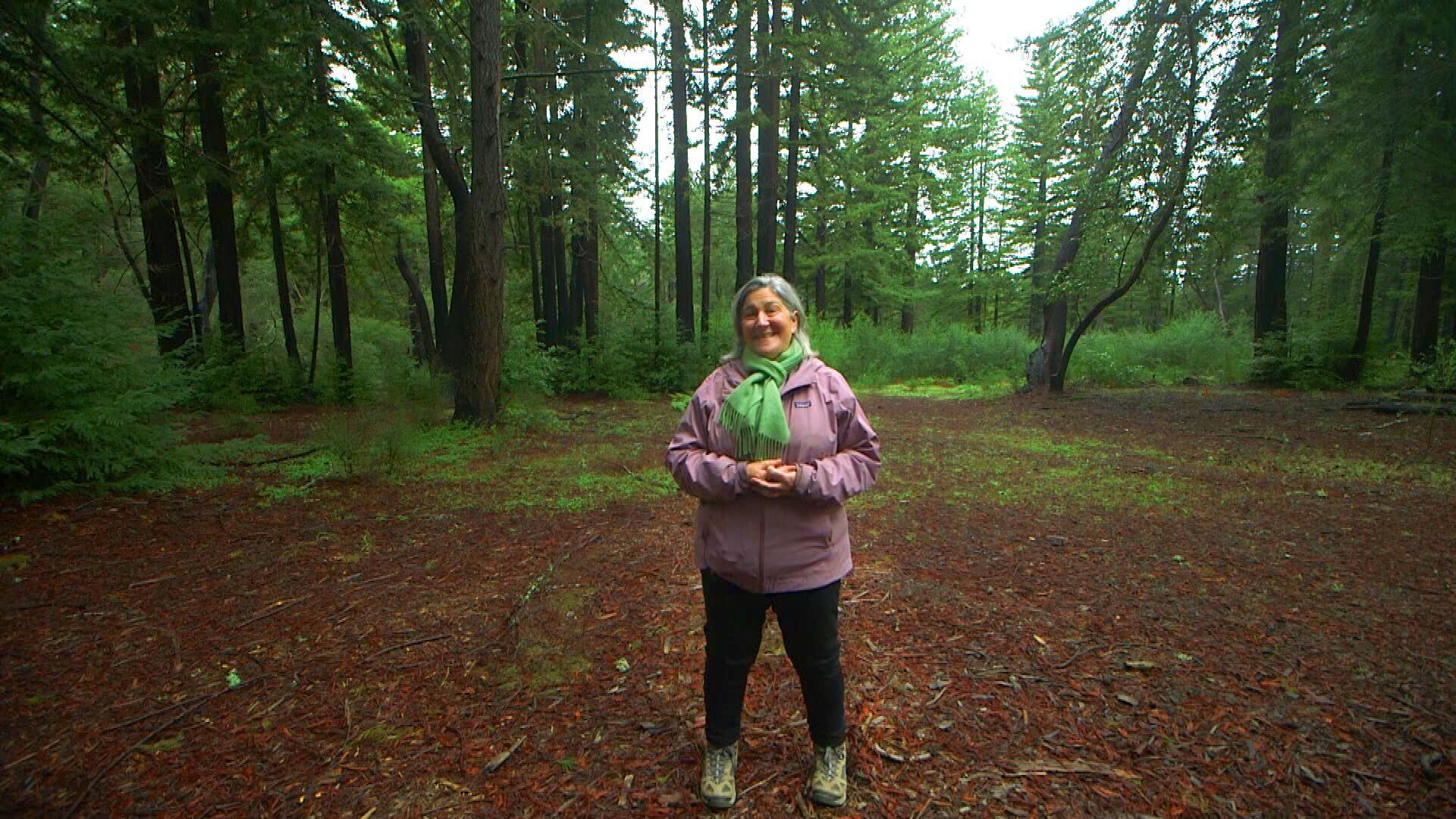 Land trust expands Big Basin Redwoods State Park for first time in 15 years