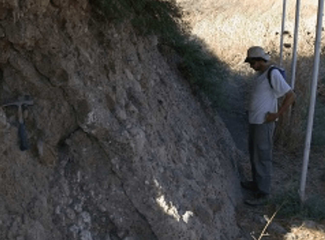 1.9 million-year-old finding points to the earliest evidence of humans ...