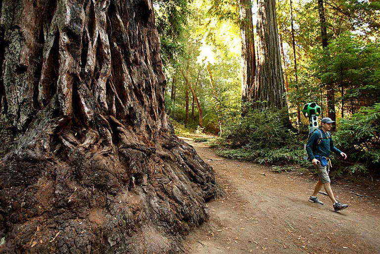 Big Basin Redwoods State Park expands with 153-acre acquisition
