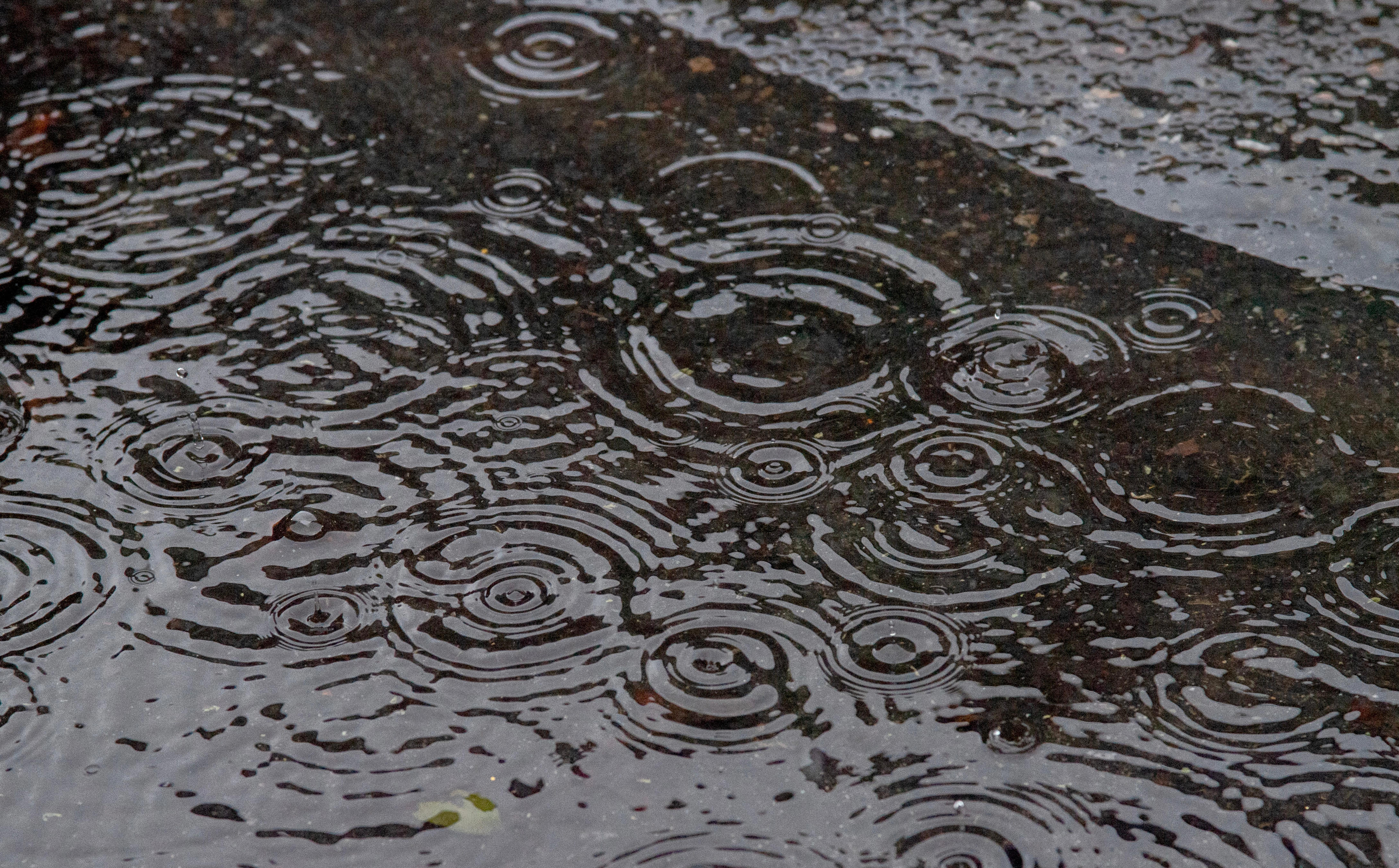 Storms dropped 2 inches of rain in one location this week. See where