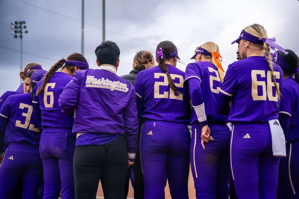 Washington softball falls 8-1 to No. 12 South Carolina