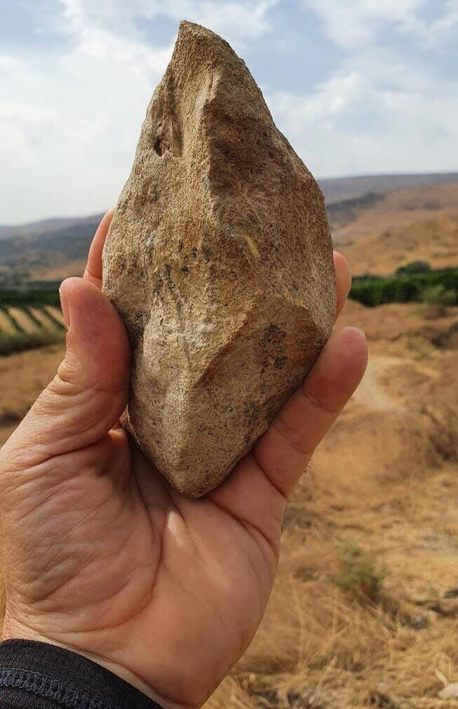 1.9 million-year-old finding points to the earliest evidence of humans ...