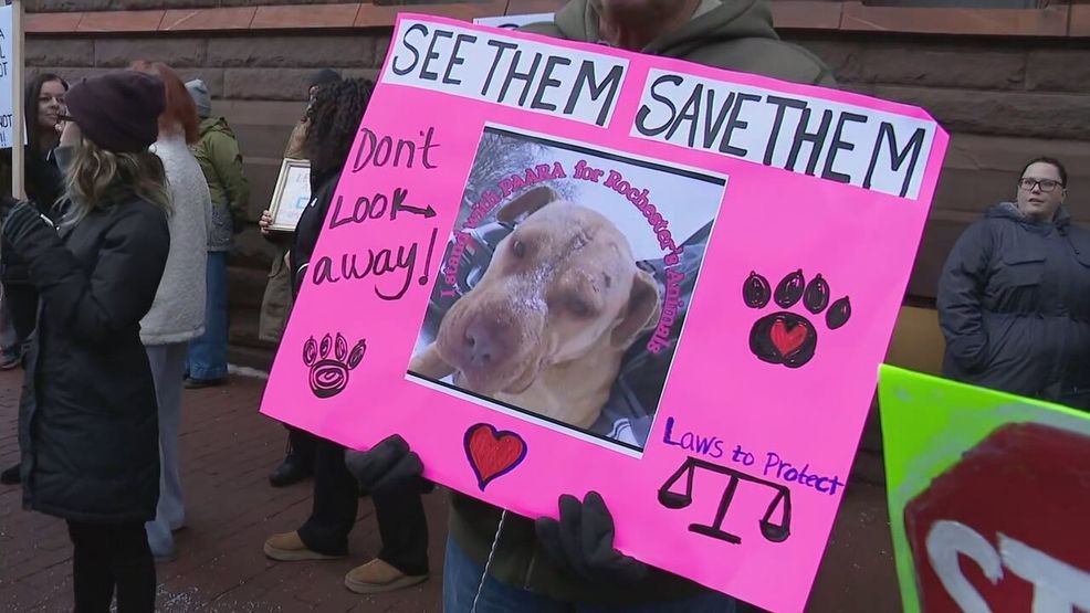 Disturbing kennel video and frigid-weather animal calls spark emotional ...