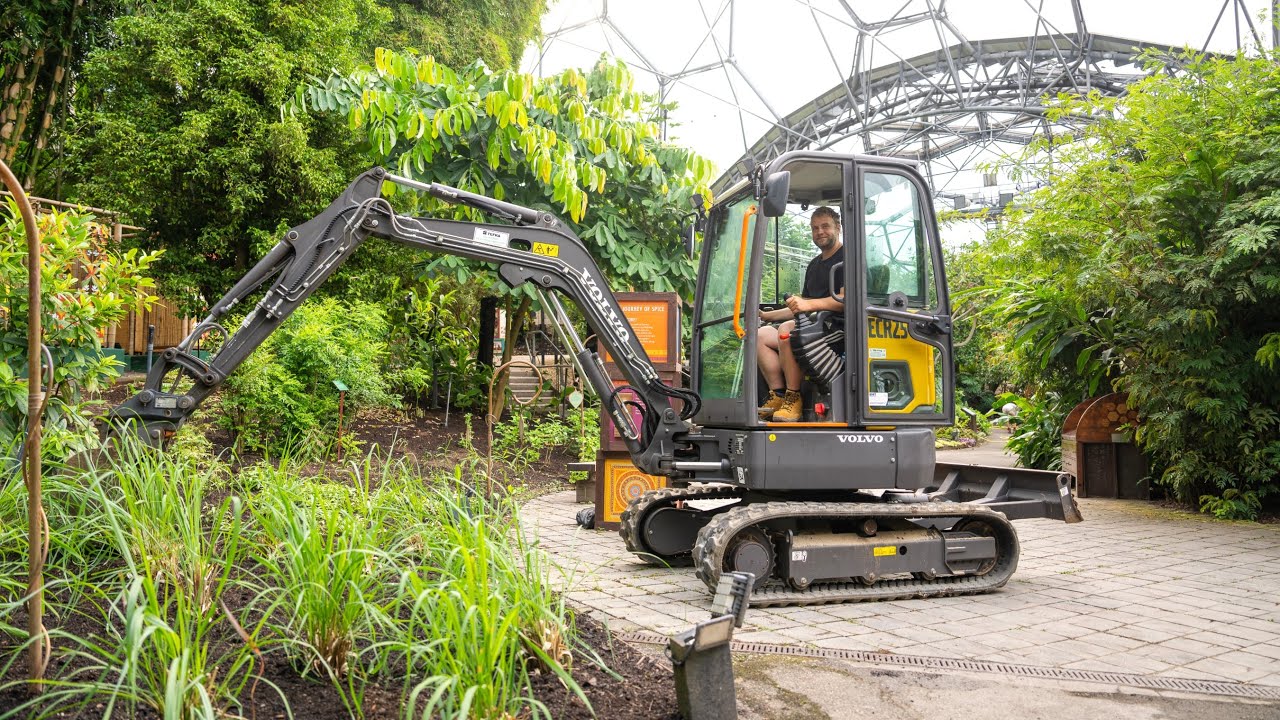 Building a rainforest with silent electric machines