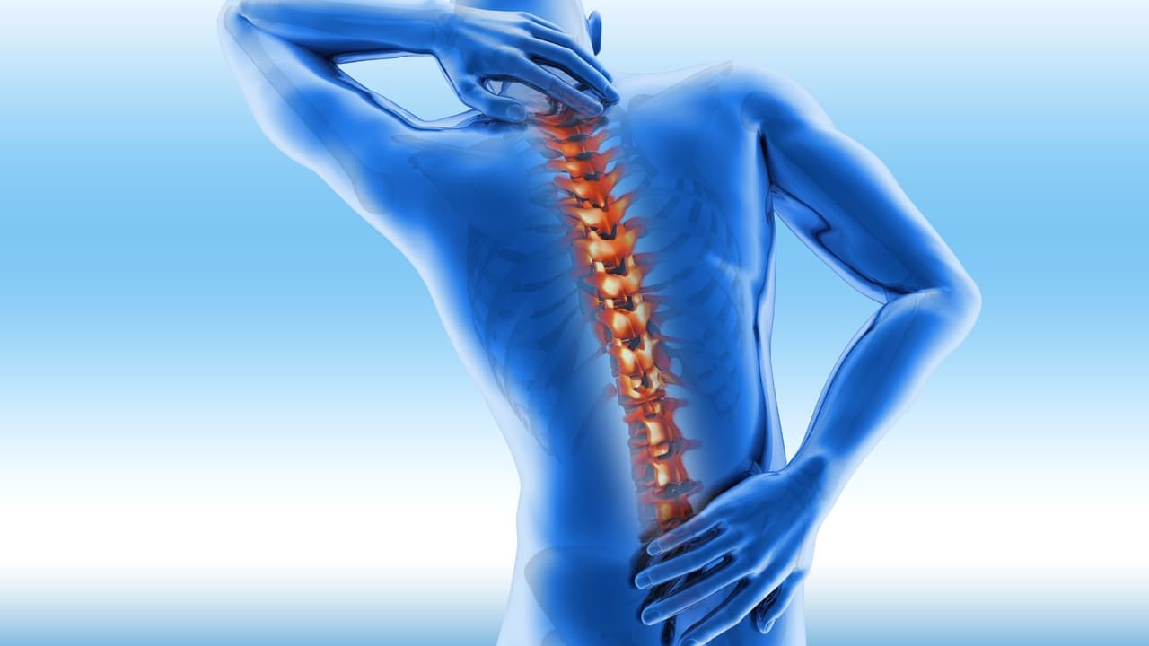 Lab-grown spinal cord models show how nerves can repair themselves