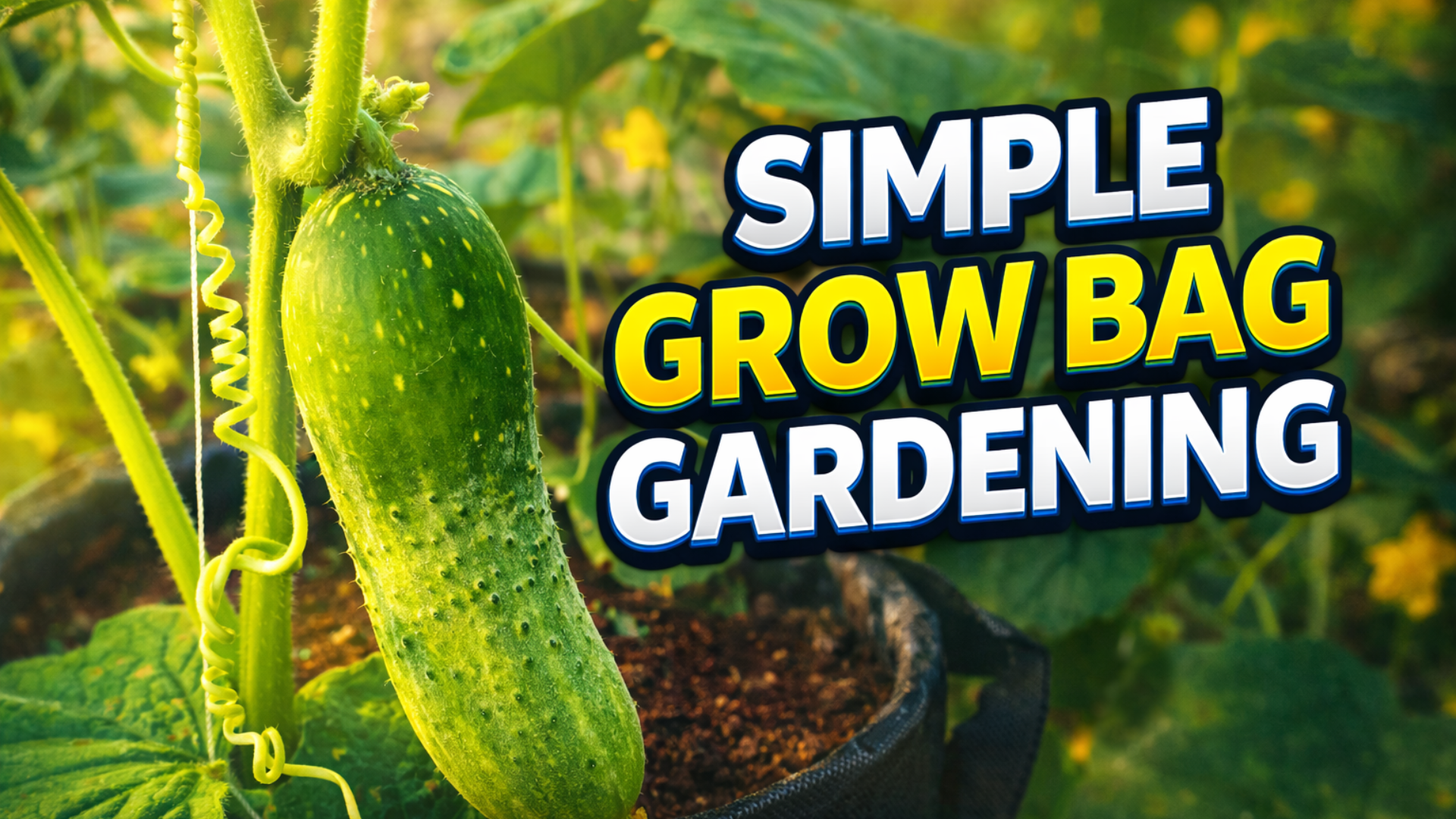 Maximize your garden space with grow bags for vegetables