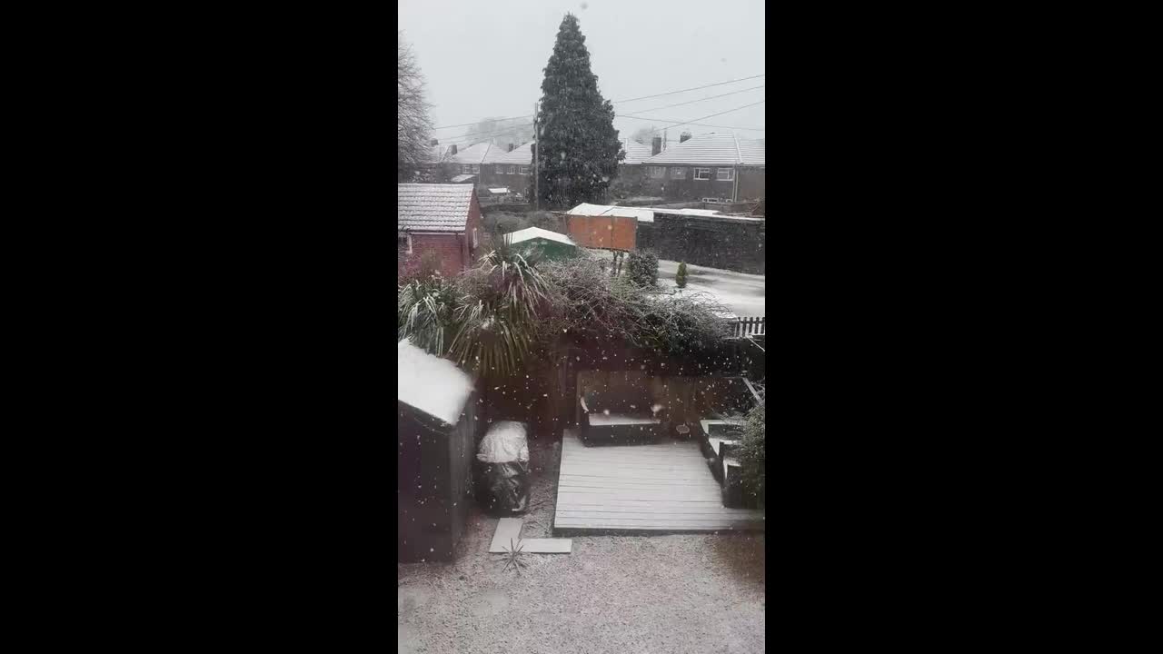 Steady snowfall continues to accumulate and covers the area in Norfolk, UK