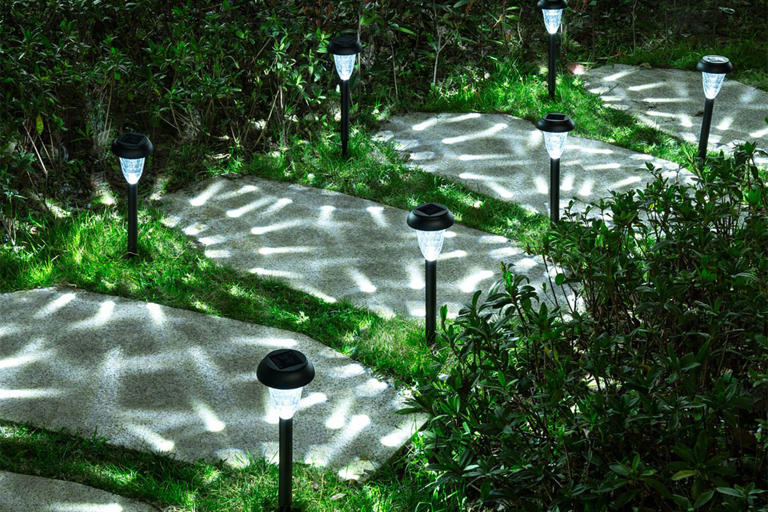 Shoppers say these under-$3 solar lights turn their yard into a ...