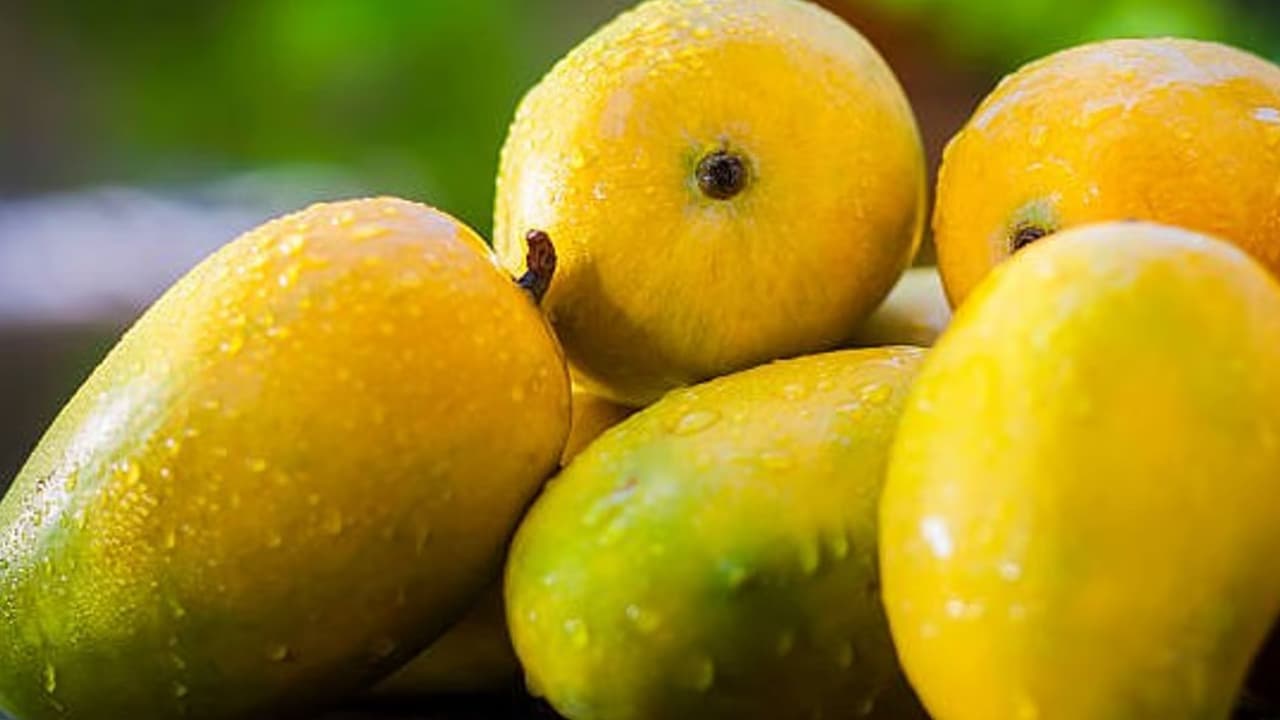 Karnataka mango crop hit by climate change: Will prices rise this year?
