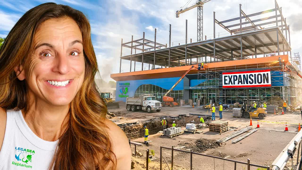 The future of the zoo - expansion details explained