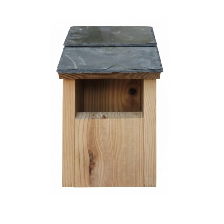 Wrens will flock to your garden if you add this type of bird box