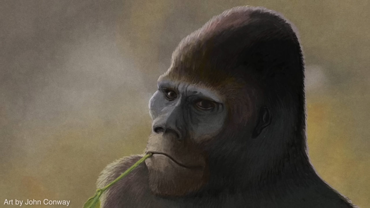 What if Bigfoot was scientifically possible?
