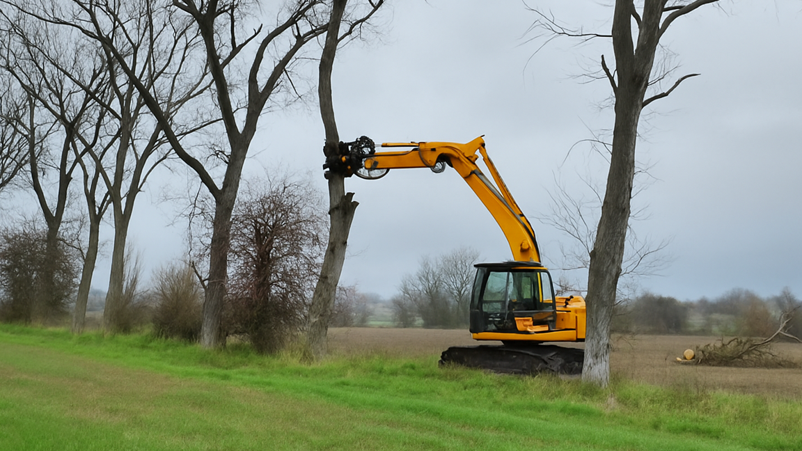 What a 21-tonne chainsaw did on the farm