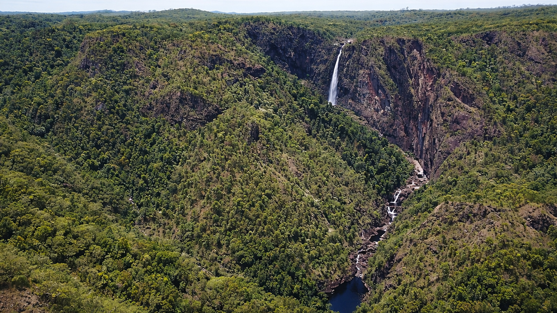 A rainforest split by a waterfall