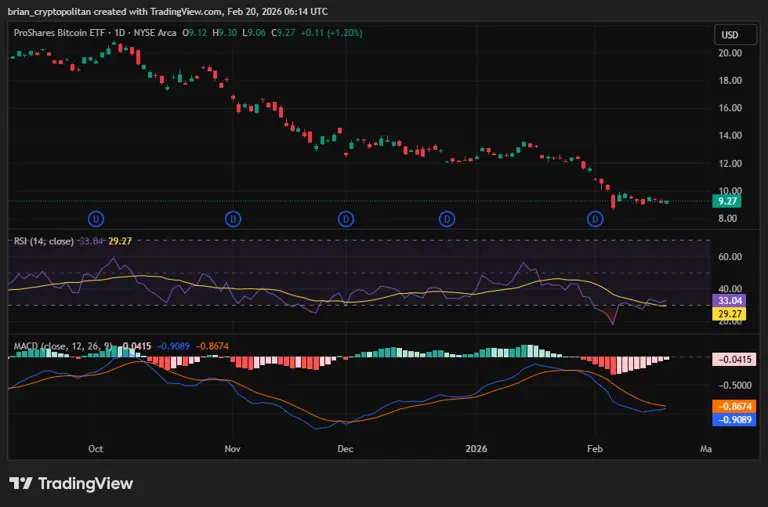 BITO price rediction 2026-2032: Is BITO a good buy?