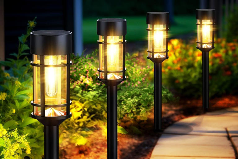 Shoppers say these under-$3 solar lights turn their yard into a ...