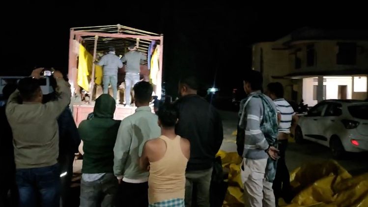 Illegal cattle smuggling racket active in Assam; six-wheeler truck ...